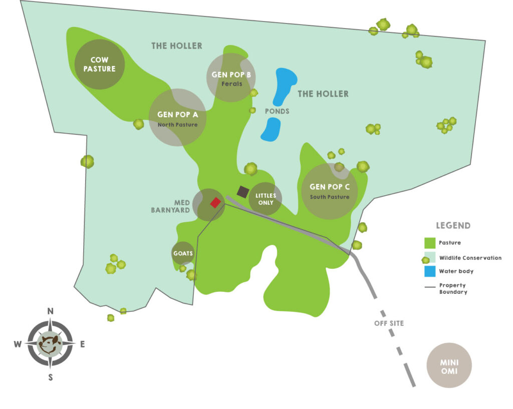 The Sanctuary - Odd Man Inn Animal Refuge