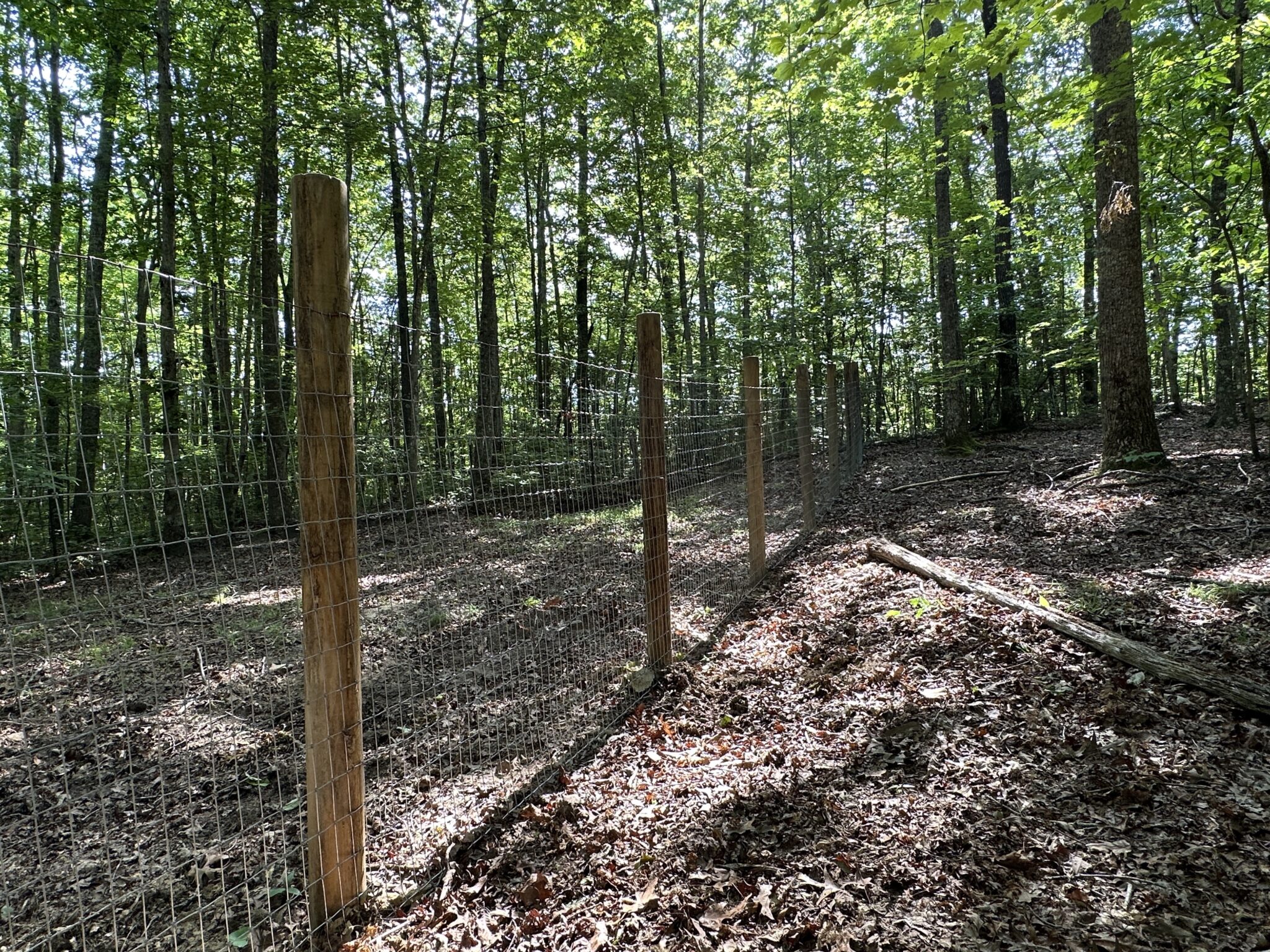Feral Fencing - Odd Man Inn Animal Refuge
